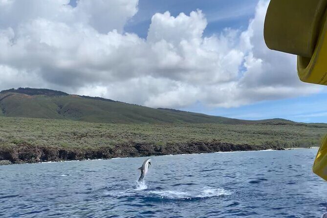 2 Hour Maui Dolphin Watch Sightsee Raft Tour (Semi-Private) - Food, Comfort, and Practical Details
