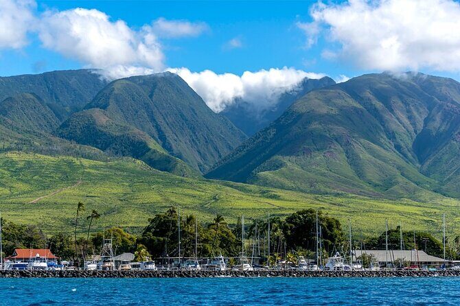 2 Hour Maui Dolphin Watch Sightsee Raft Tour (Semi-Private) - Who Will Love This Tour?