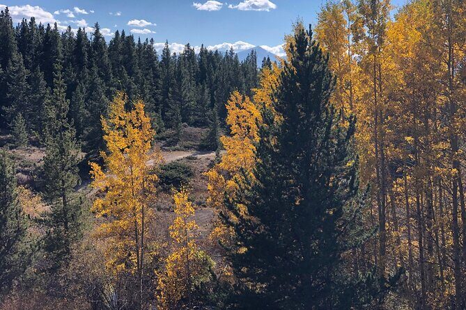 2-Hour Mineral Belt Guided E-Bike Tour in Leadville - Final Thoughts