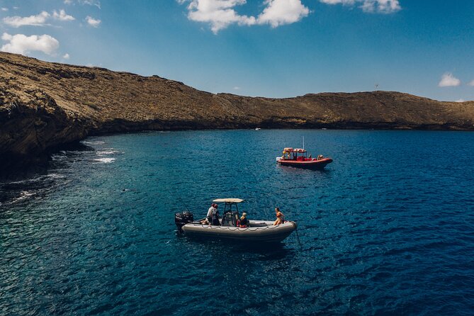 2-Hour Molokini Snorkel Trip - The Sum Up: Who Will Love This Tour?