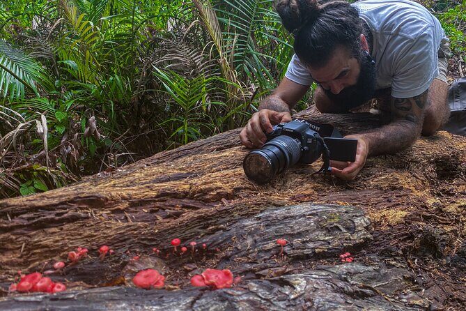 2-Hour Mushroom Photography Activity in Cairns Botanic Gardens - The Sum Up