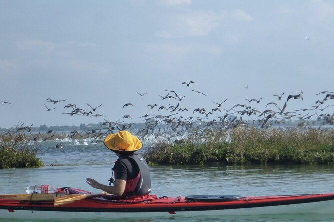 2 Hour Night Kayak Tour in Venice, Premium Experience With Sunset - Whats Included in the Tour