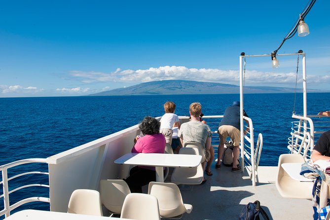 2-Hour Oahu Whale Watch from Ala Wai Harbor, Waikiki - What Makes This Tour Stand Out?