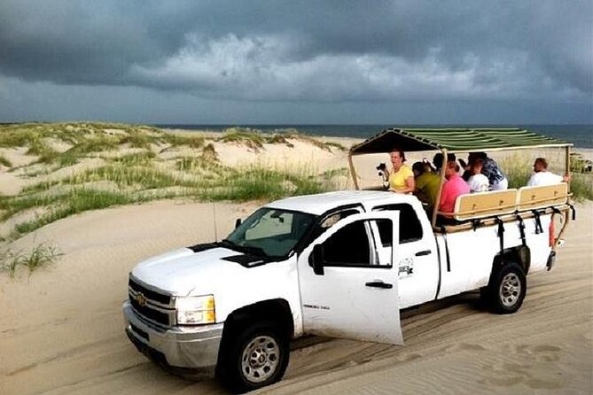 2-hour Outer Banks Wild Horse Tour by 4WD Truck - Why This Tour Appeals