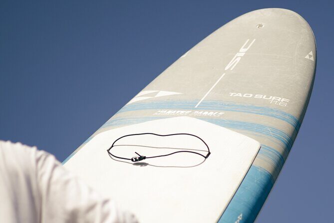 2 Hour Paddle Board Rental - An In-Depth Look at the Crystal River Paddleboard Experience
