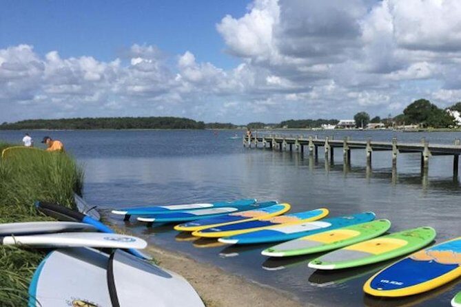 2-Hour Paddleboard Rental in Rehoboth Bay - Who Will Love This Experience?