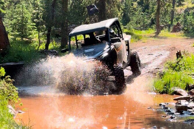 2 Hour Park City UTV Adventure Rental (4 Seater RZR) - What to Expect: An Authentic Utah Off-Road Experience