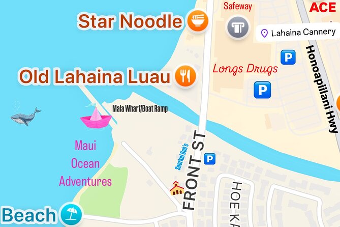 2 Hour Prime Time Maui Whale Watching - Setting the Scene: What to Expect on the Tour