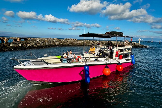 2 Hour Prime Time Maui Whale Watching - Authentic Experiences and Review Highlights