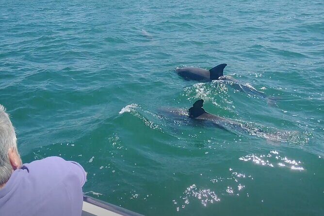 2-hour Private Boat Tour in Clearwater Florida - FAQs