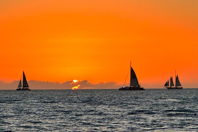 2 Hour Private Dolphin and Sightseeing Tour in Shell Island - Accessibility and Special Considerations