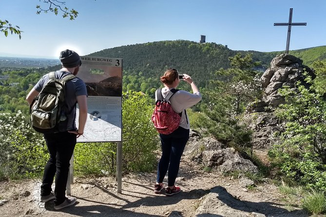 2-Hour Private Hiking Tour Helenental Castles Hike from Vienna - Exploring the Helenental Castles: A Walk Through History and Nature from Vienna