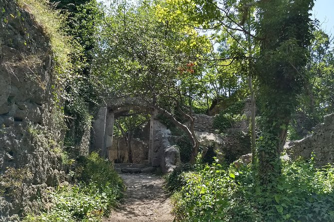 2-Hour Private Hiking Tour Helenental Castles Hike from Vienna - Logistics: What You Need to Know