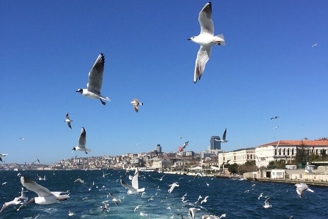 2-Hour Private Luxury Yacht Cruise on Bosphorus with Transfers - Who Will Love This Experience?