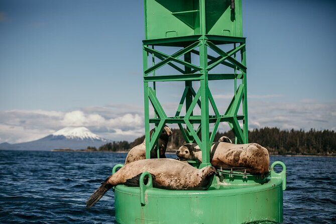 2 Hour Private Marine Wildlife Tour - Key Points