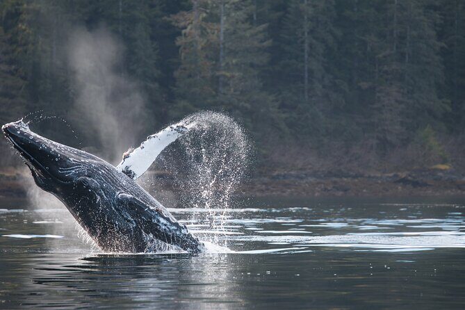 2 Hour Private Marine Wildlife Tour - An In-Depth Look at the 2-Hour Wildlife Tour