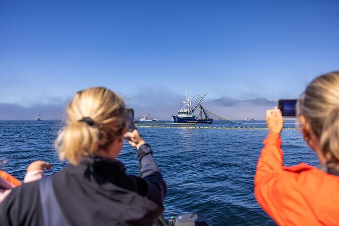 2 Hour Private Marine Wildlife Tour - Final Thoughts