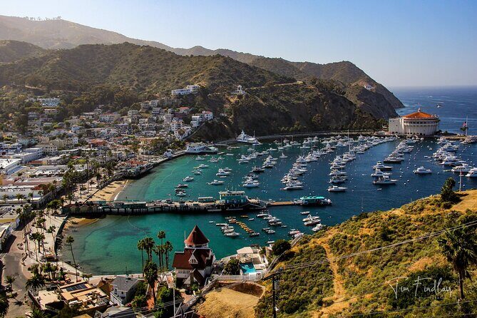 2 Hour Private Tour of Avalon - Key Points
