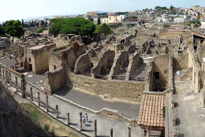 2-Hour Private Tour of the Ruins of Herculaneum - Authentic Experiences and Genuine Value
