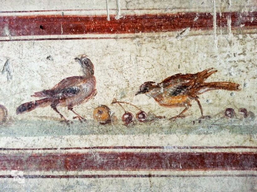2-Hour Private Walking Tour of Pompeii - The Itinerary: What You Can Expect