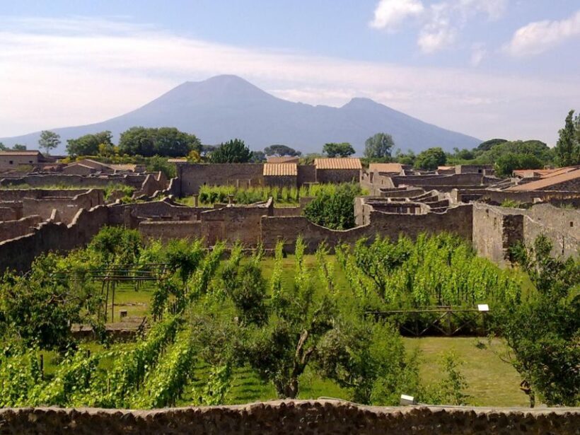 2-Hour Private Walking Tour of Pompeii - Authentic Insights from Past Travelers