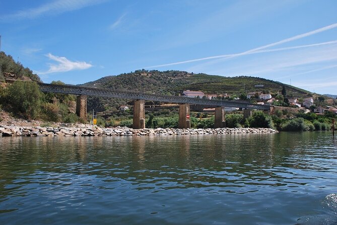 2-Hour Rabelo Boat Tour in Pinhão - Guest Experiences and Feedback