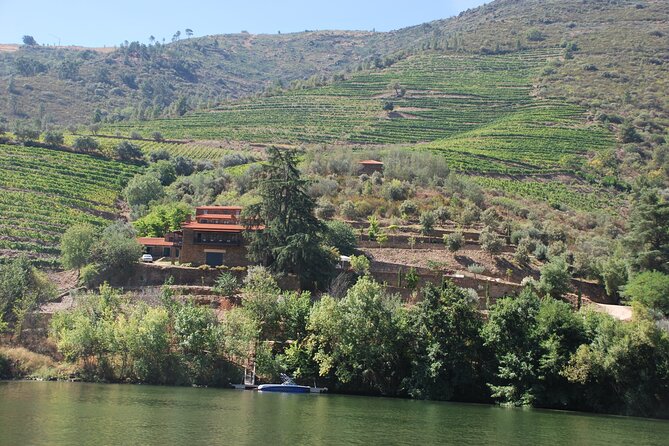 2-Hour Rabelo Boat Tour in Pinhão - Managements Commitment to Improvement