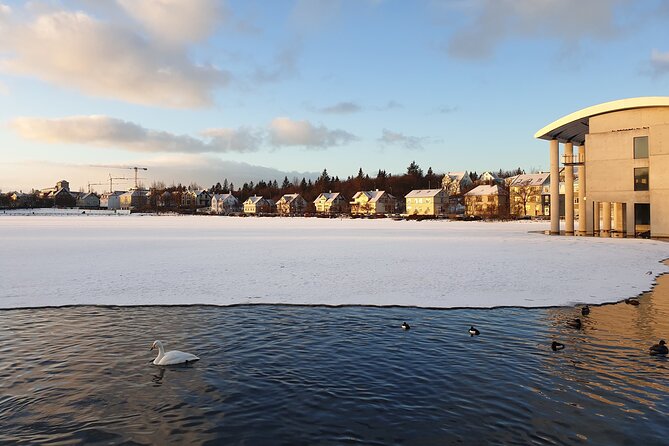 2-Hour Reykjavik Private Walking Tour - Exceptional Customer Feedback and Testimonials