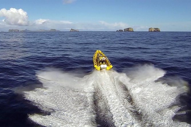 2 Hour Round Trip in Vestmannaeyjar on a RIB Boat - Key Points