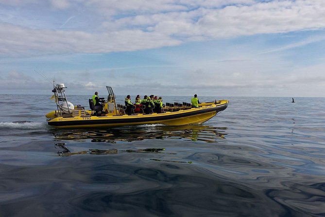 2 Hour Round Trip in Vestmannaeyjar on a RIB Boat - Safety and Weather Conditions