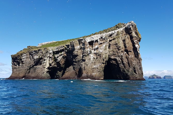 2 Hour Round Trip in Vestmannaeyjar on a RIB Boat - Discovering the Coastal Wonders