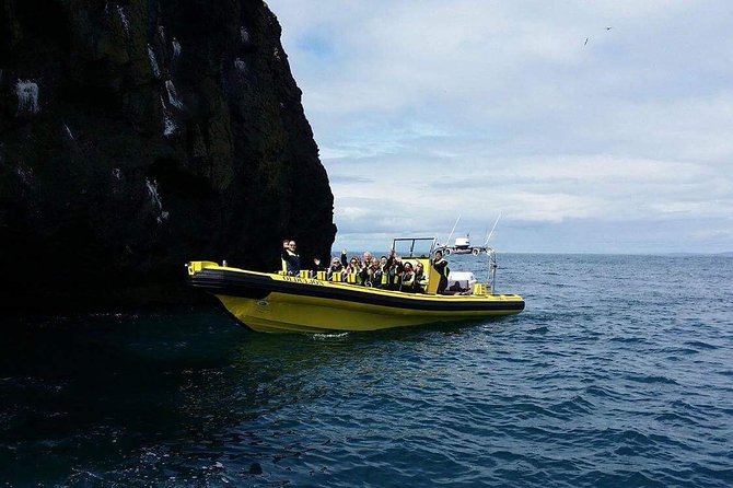 2 Hour Round Trip in Vestmannaeyjar on a RIB Boat - Spotting Wildlife in Their Natural Habitat