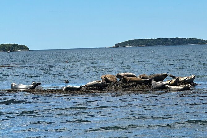 2 Hour Scenic Powerboat Cruise Experience Portland's Waterfront - Final Thoughts