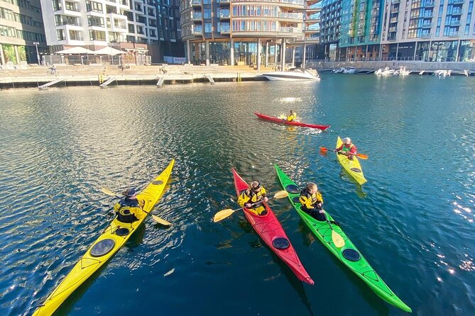 2 Hour Sea Kayak Tour on Oslofjord From Central Oslo - Experience Highlights