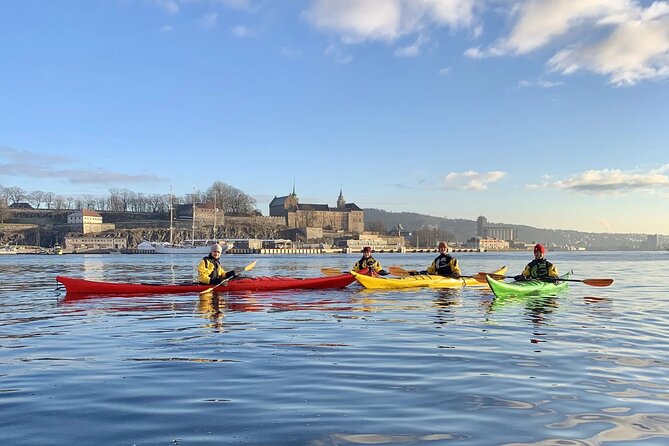 2 Hour Sea Kayak Tour on Oslofjord From Central Oslo - Safety and Accessibility