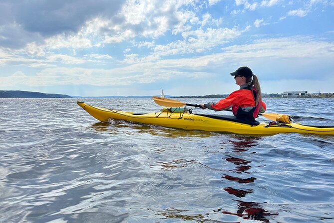 2 Hour Sea Kayak Tour on Oslofjord From Central Oslo - Guided Tour of Oslos Attractions