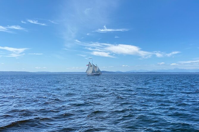 2-Hour Seattle Sailing Harbor Tour - The Crew and the Sailing Experience