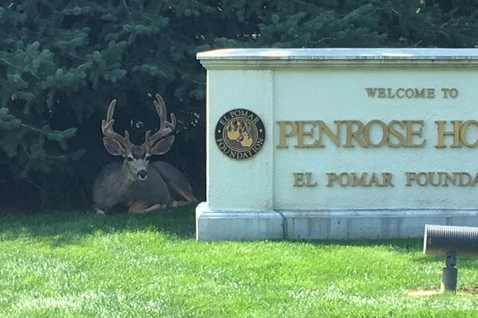 2-Hour Segway Tour in Cheyenne Cañon and Broadmoor Area - Traveler Feedback and Ratings