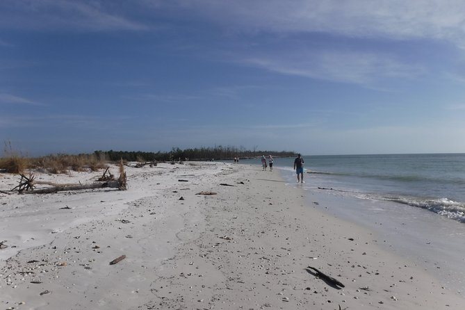 2-hour Shelling Boat Tour in the 10,000 Islands - Shelling Adventures in the Ten Thousand Islands