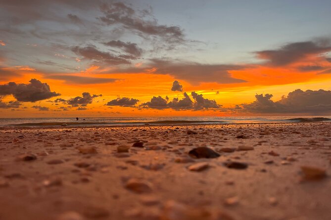 2-hour Shelling Boat Tour in the 10,000 Islands - Frequently Asked Questions
