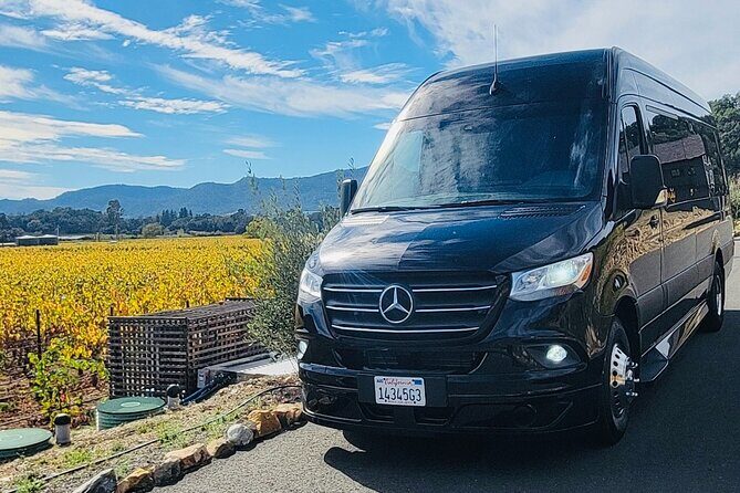 2 Hour Sightseeing Small Group Guided Tour in San Francisco - A Detailed Look at San Francisco’s Highlights in 2.5 Hours