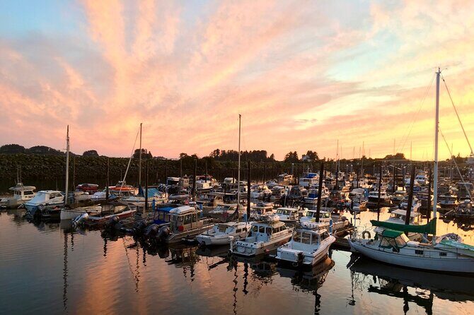 2 Hour Sitka Private Charter Sunset Cruise - Key Points