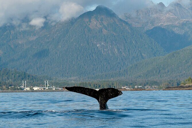 2 Hour Sitka Private Charter Sunset Cruise - Who Will Love This Tour?