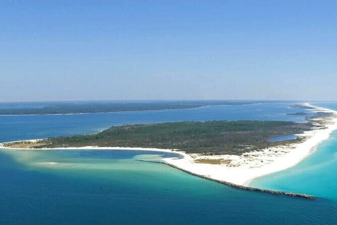 2 Hour Snorkeling and Dolphin Tour - Why This Tour Offers Good Value