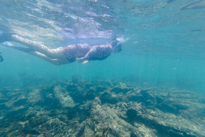 2-Hour Snorkeling in Two Spots of Tulum's Reef - Final Thoughts: Who Will Love This Tour?