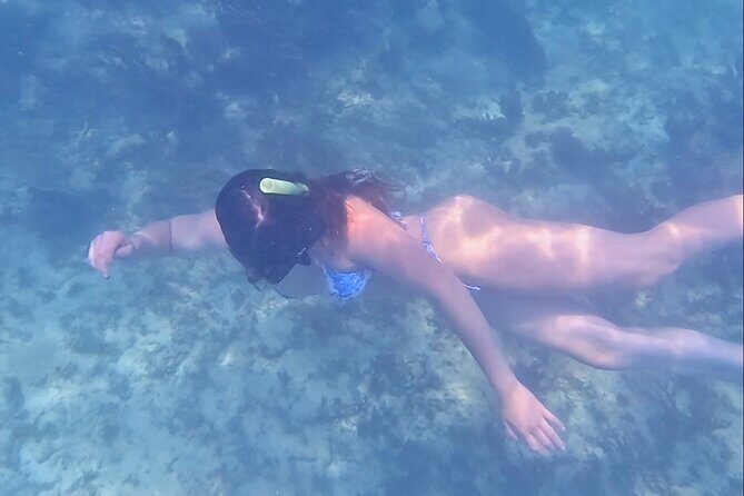2-Hour Snorkeling in Two Spots of Tulum's Reef - FAQs