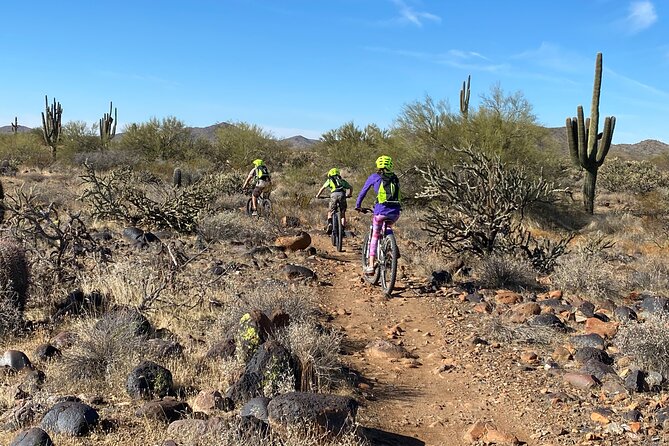 2 Hour Sonoran Desert Private Guided Mountain Bike Tour - Key Points