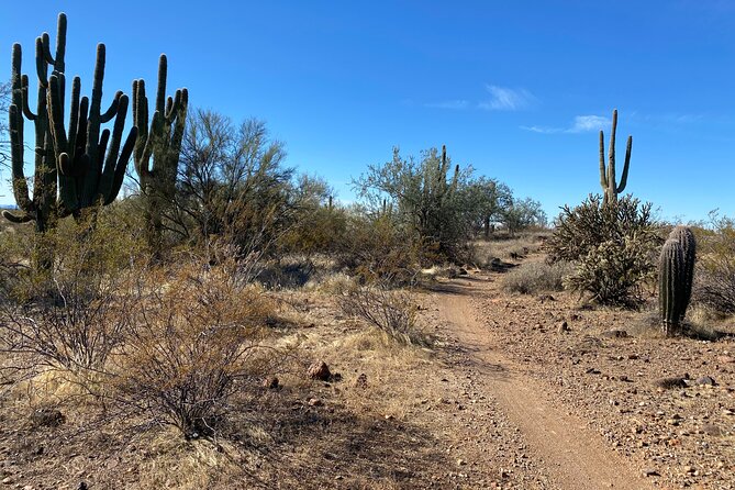 2 Hour Sonoran Desert Private Guided Mountain Bike Tour - Booking Information and Cancellation Policy