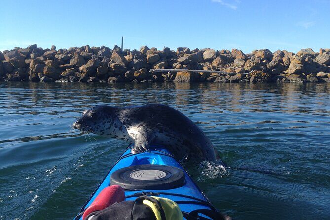 2 Hour Sound Tour - The Itinerary and What to Expect