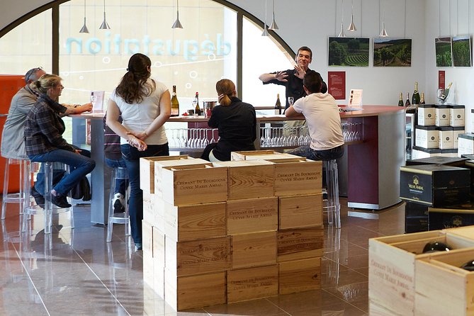 2 Hour Sparkling Wine Tasting and Visit in Beaune - Traveler Reviews and Feedback